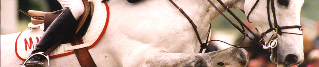 Mikmar Bit Company | High Performance Horse Bits for All Riding Styles